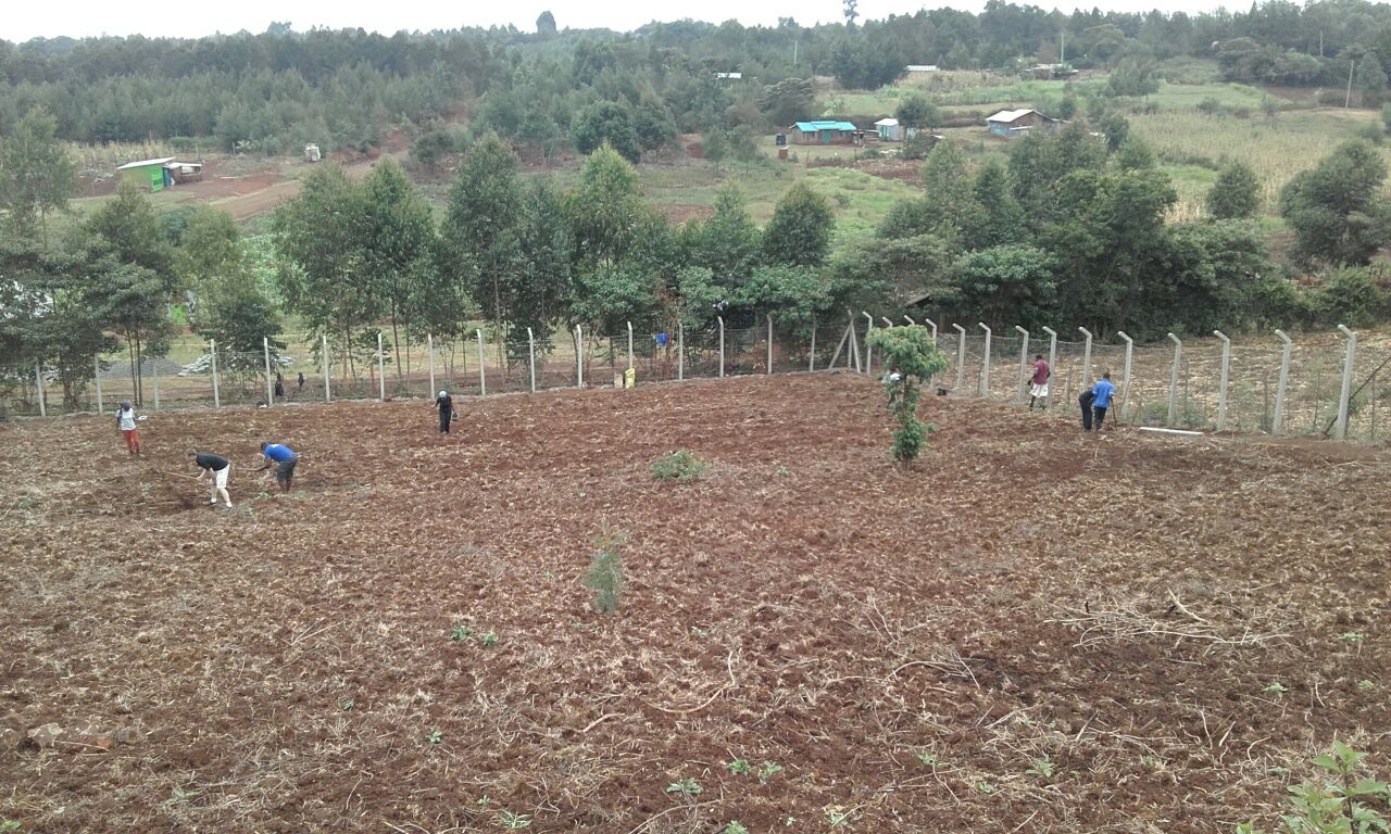 Swim-cycle-run for the training centre – iServe Africa